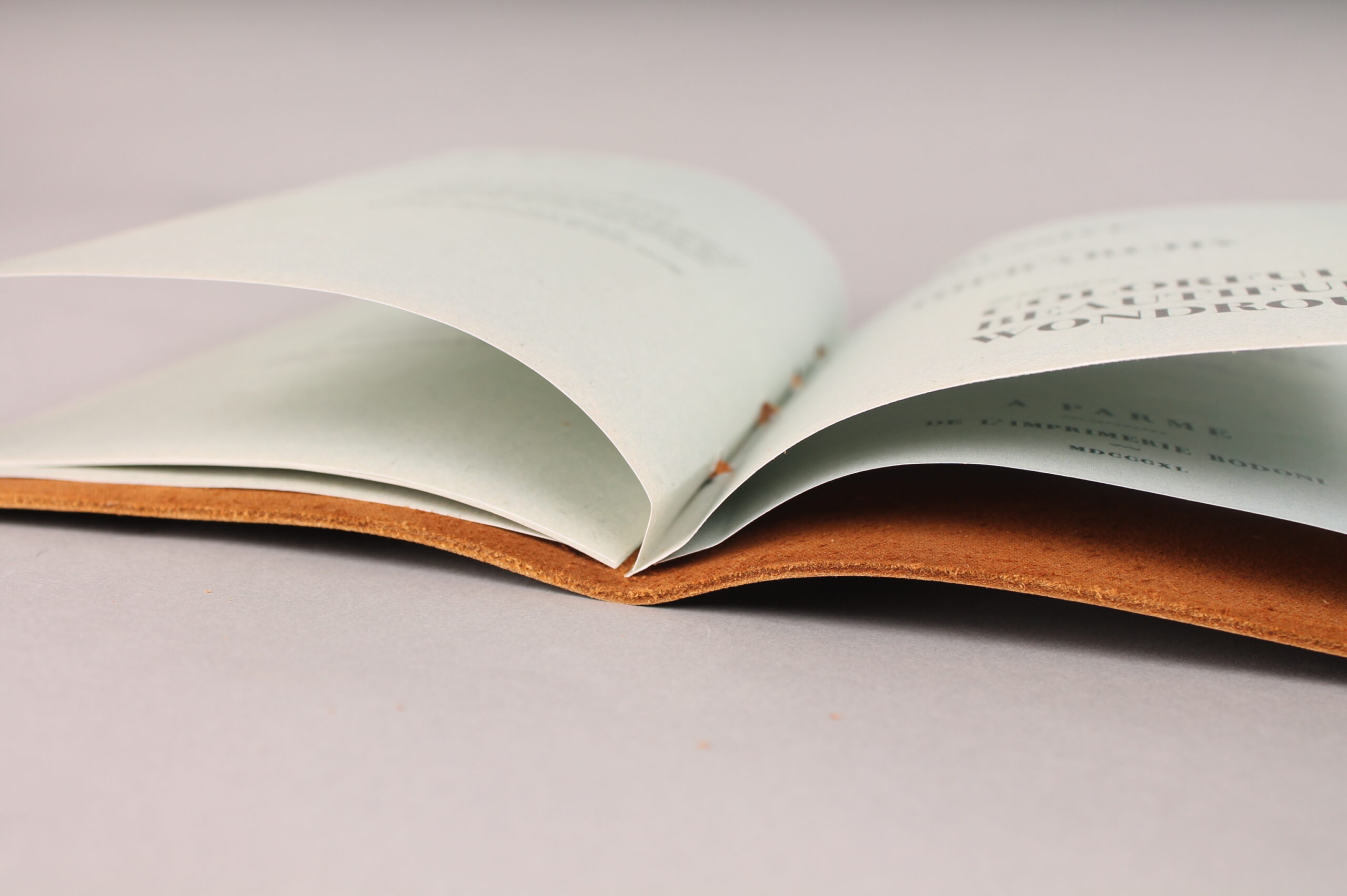 Typography: Type Spec Book – Student Gallery